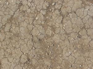 stone ground textures - Texturelib